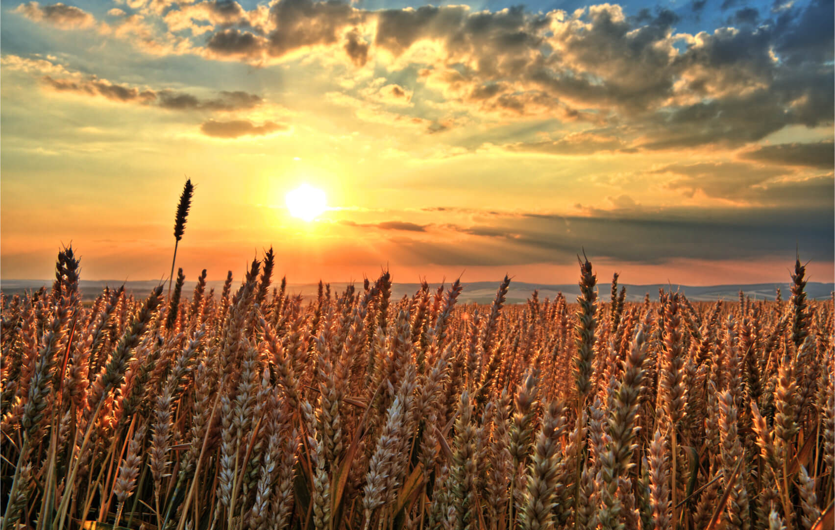 Celebrating Lughnasadh / Lammas In 2021